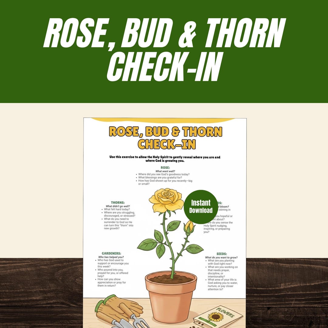 Rose Bud Thorn Check in Printable Christian Counseling Tool Emotional ...