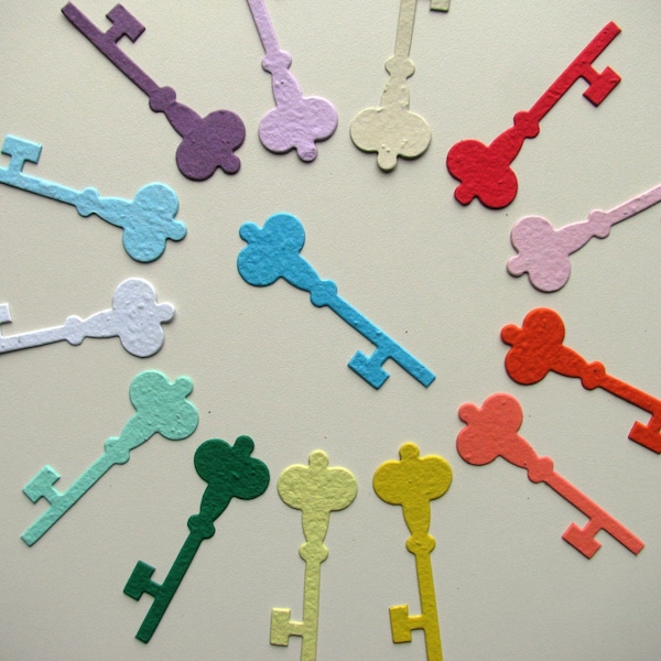 Bulk Skeleton Keys - Etsy