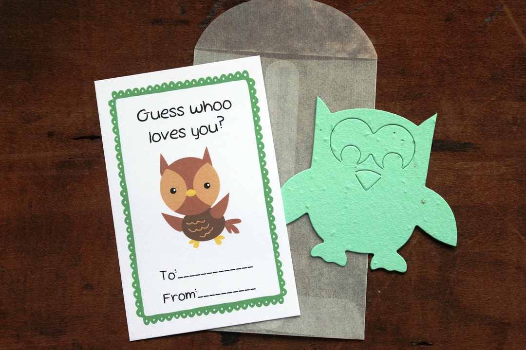 Owl Valentines- SET OF 8 - Includes Color Printed Card, Seed Paper, and ...