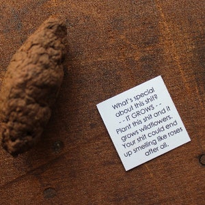 Piece of Sh*t- Boxed Gag Gift- Fake Plantable Poop- White Elephant ...