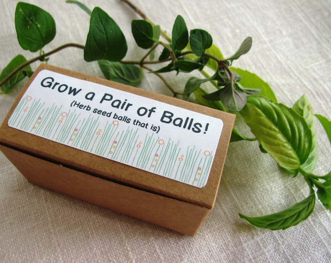 Grow a Pair of Balls-ready TO SHIP 5 Seed Pair Choices - Etsy