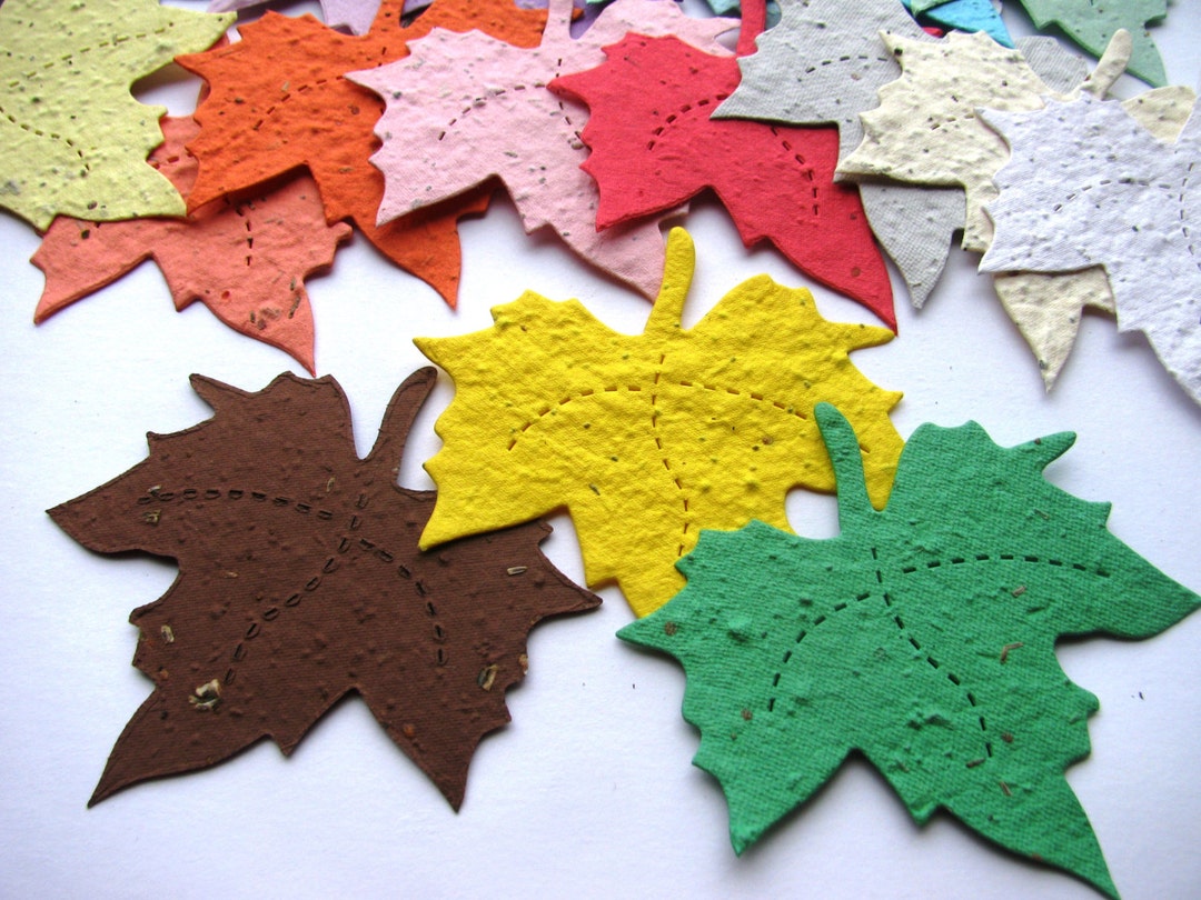 24 Seed Paper Maple Leaves - Etsy