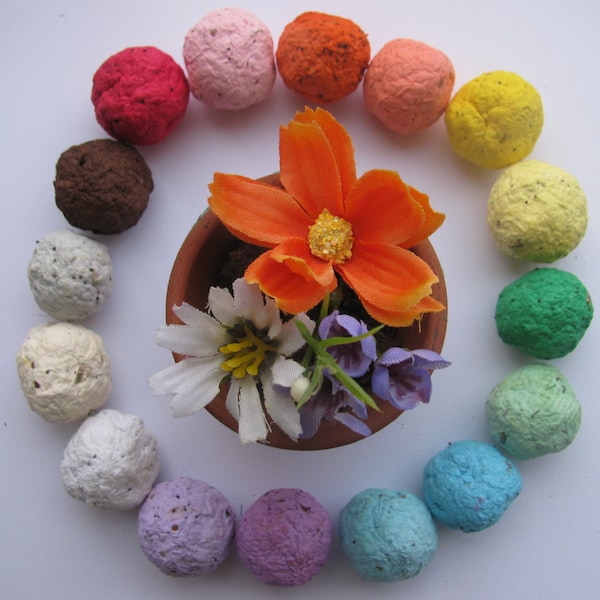 Seed Bombs - Etsy