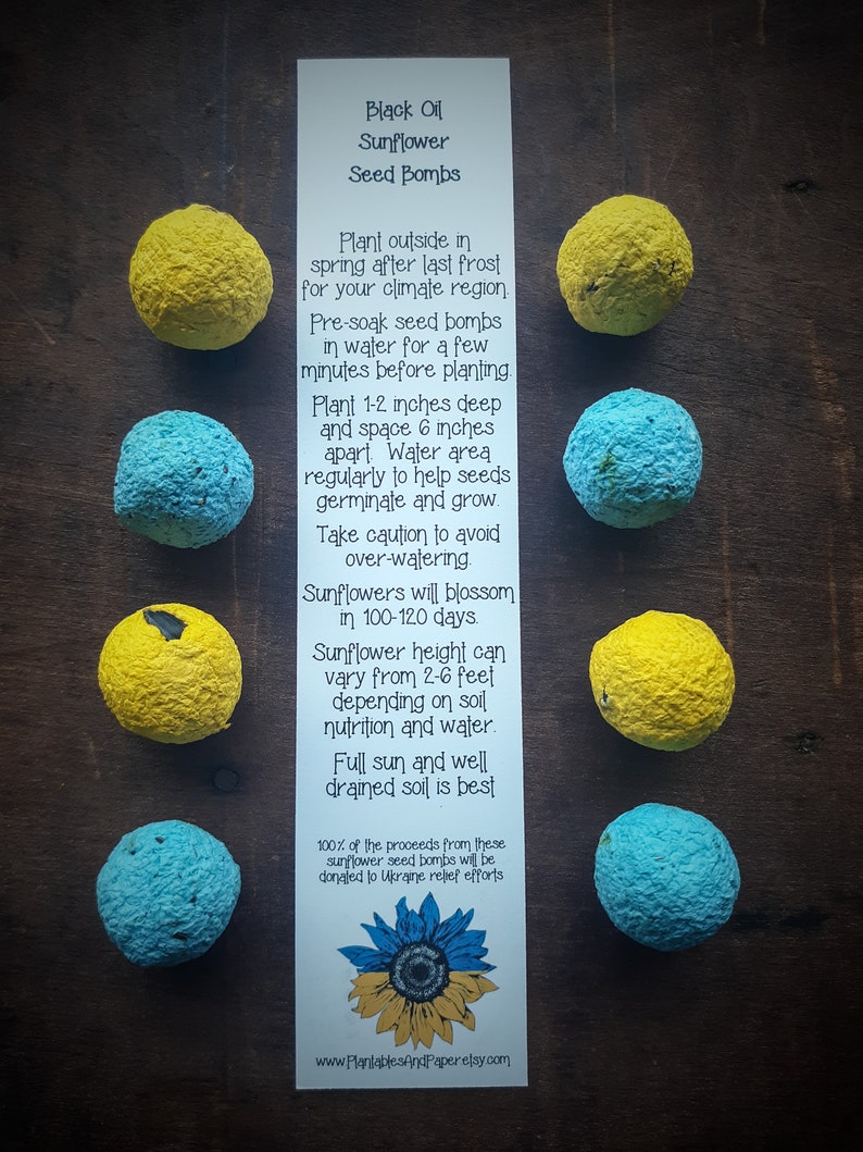 Grow Sunflowers for Ukraine Proceeds Donated to Relief | Etsy