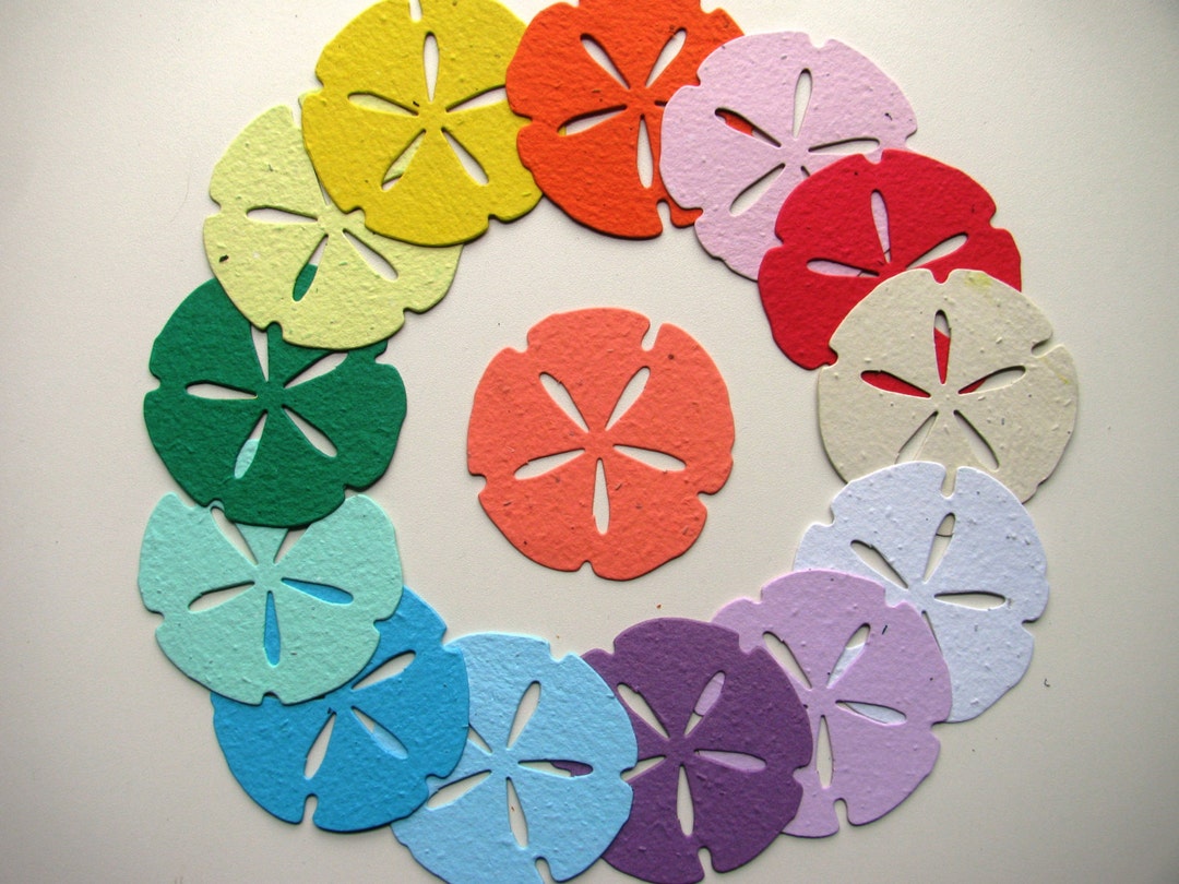 24 Seed Paper Sand Dollars - Etsy