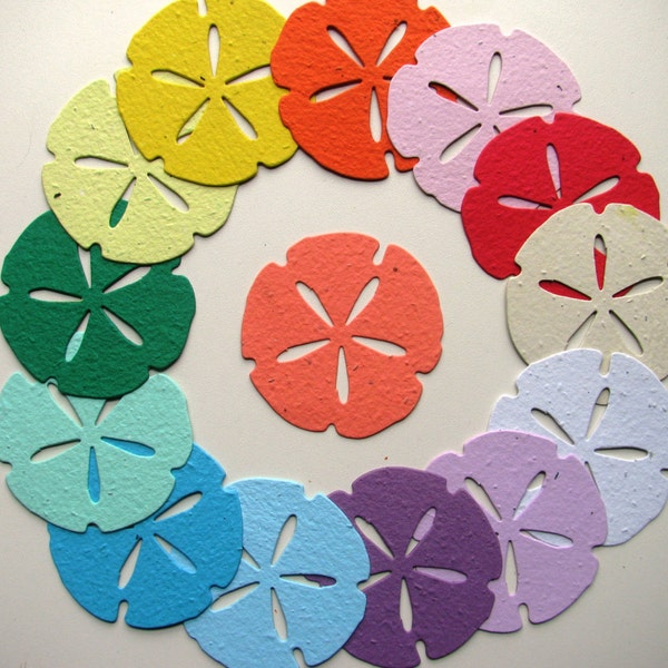 Bulk Sand Dollars - Etsy