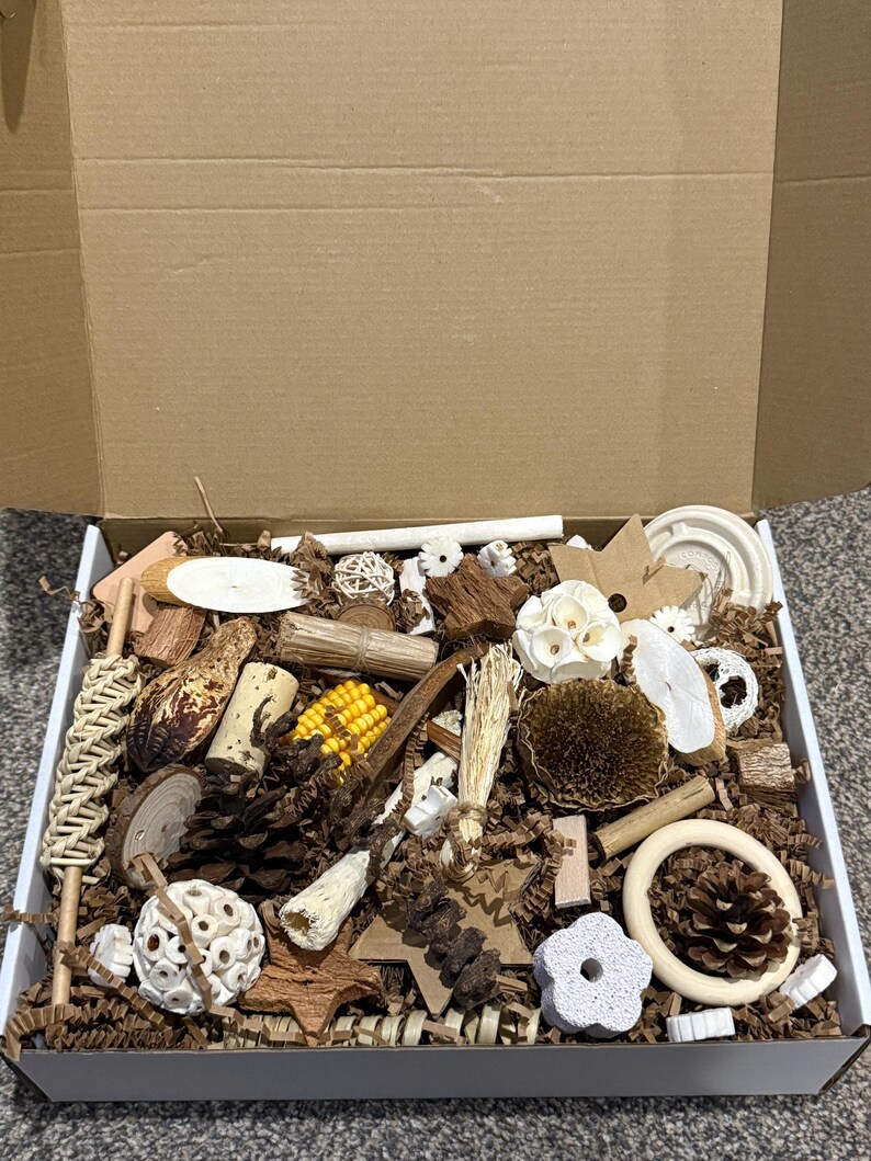 Super Stuffed Bird Foraging Box: Natural Parrot Toy With Treats - Etsy