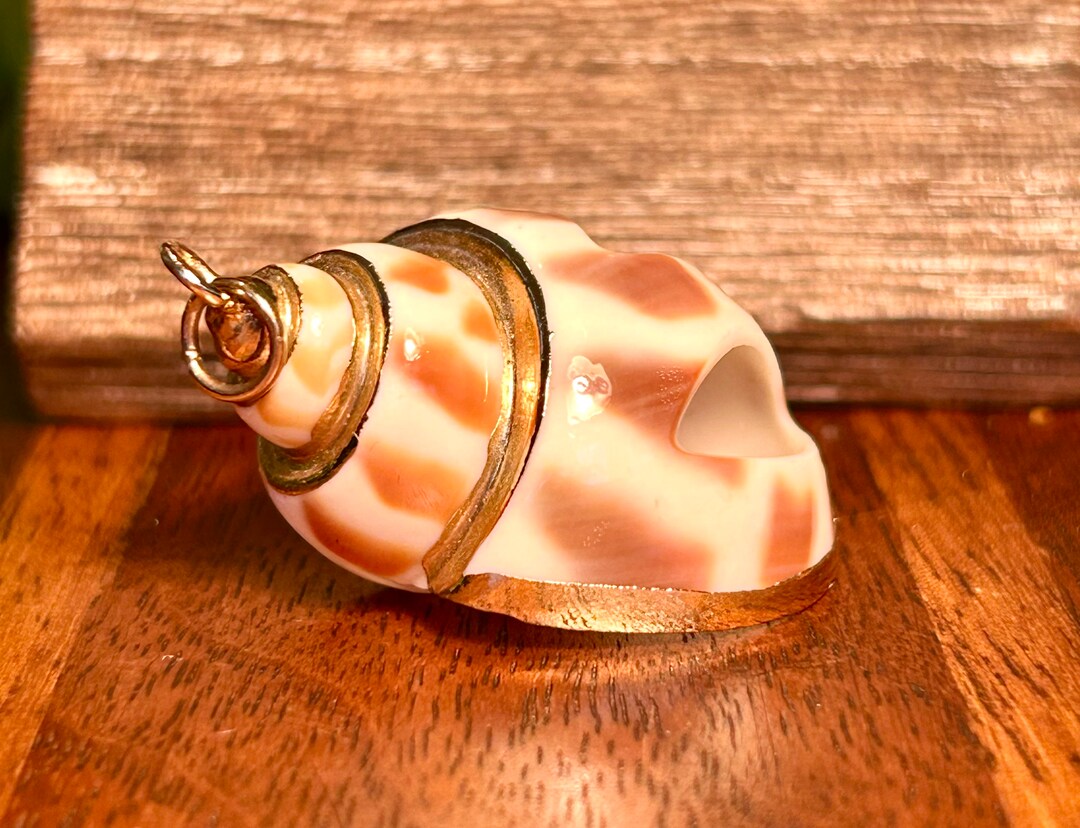 Vintage Yellow Gold Dipped Seashell Pendant Ocean Natural Jewelry Sea ...