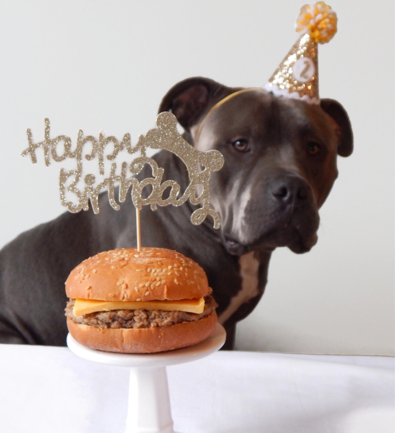 Dog Birthday Cake Topper Cake Topper for Dogs Dog Birthday | Etsy
