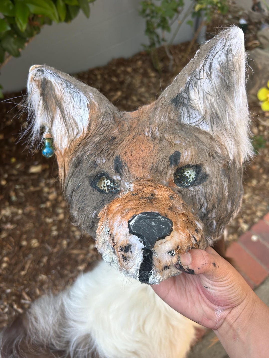 Fully Furred Coyote Therian Mask - Etsy