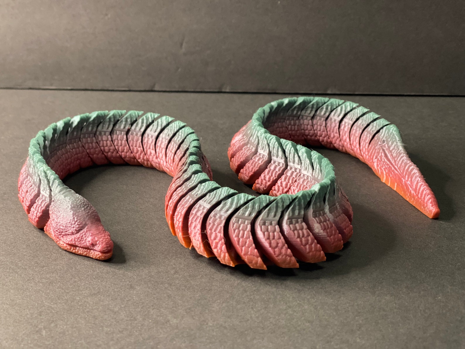 Articulated Eel / 3D Printed/ Flexi Eel/ Fidget Toy - Etsy