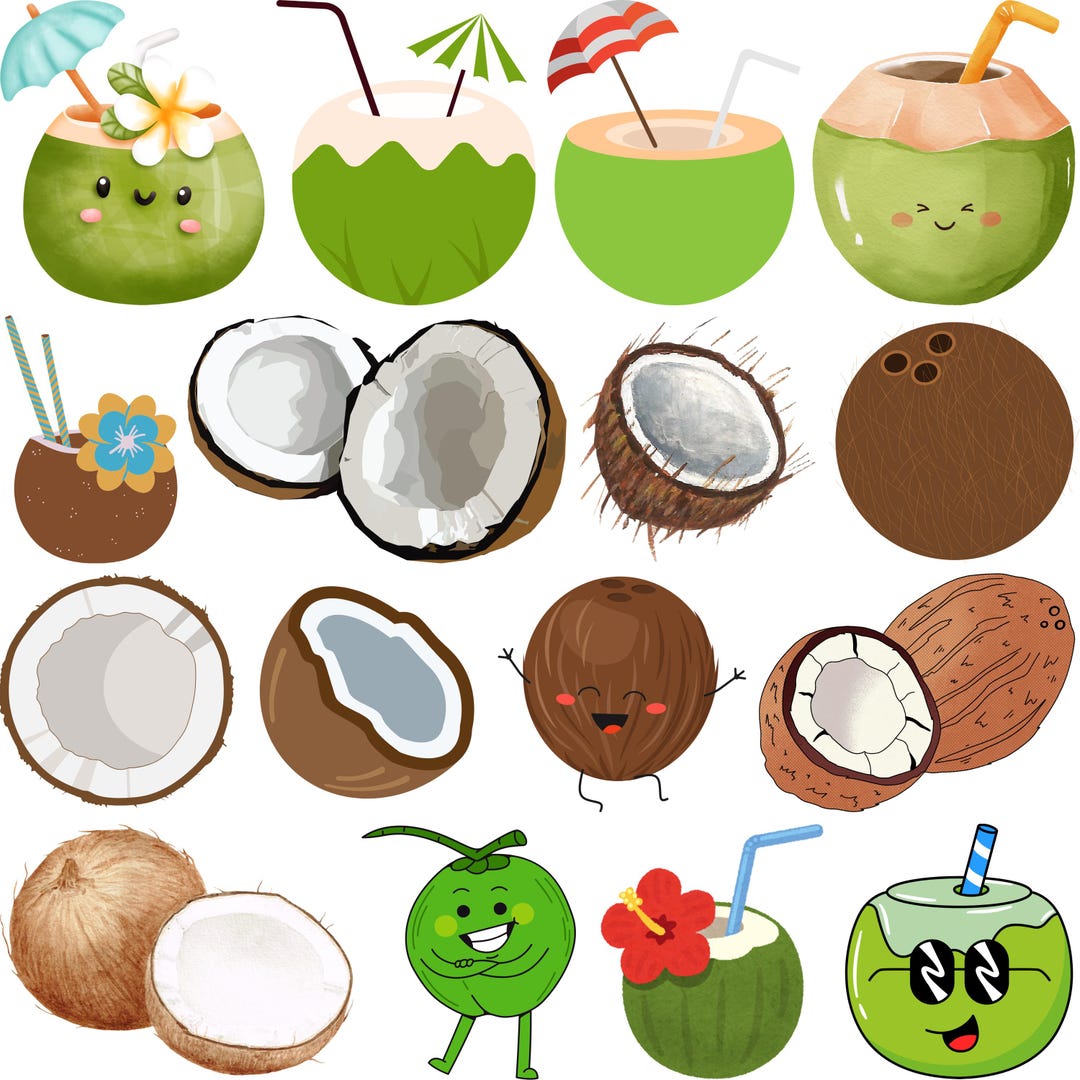 Coconut SVG Bundle, Cute Coconut Clipart PNG, Tropical Beach SVG ...
