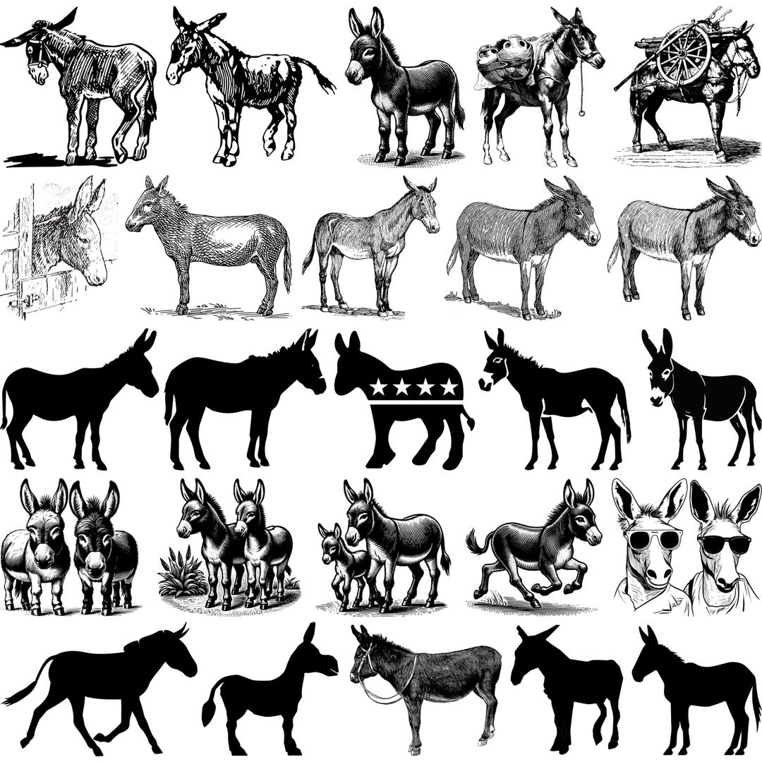 Donkey SVG Bundle, Donkey Clipart PNG, Farm Animal SVG, Donkey ...