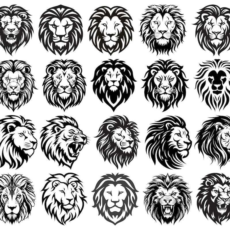 Cats With Big Faces - Etsy