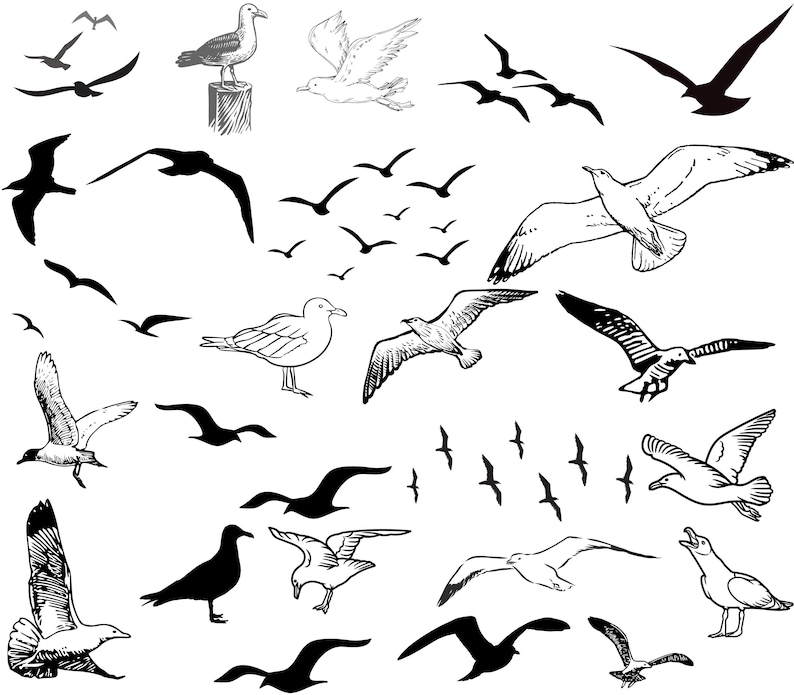 Seagull SVG Bundle, Flying Seagull Clipart, Ocean Birds SVG, Seagulls ...