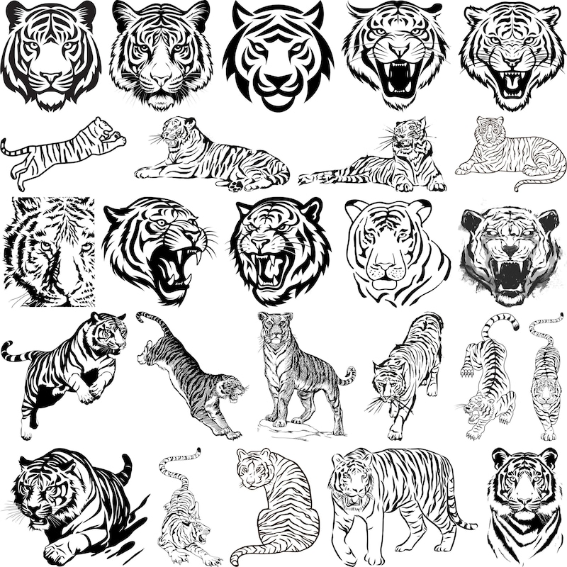 Tiger Cartoon Drawing - Etsy Canada