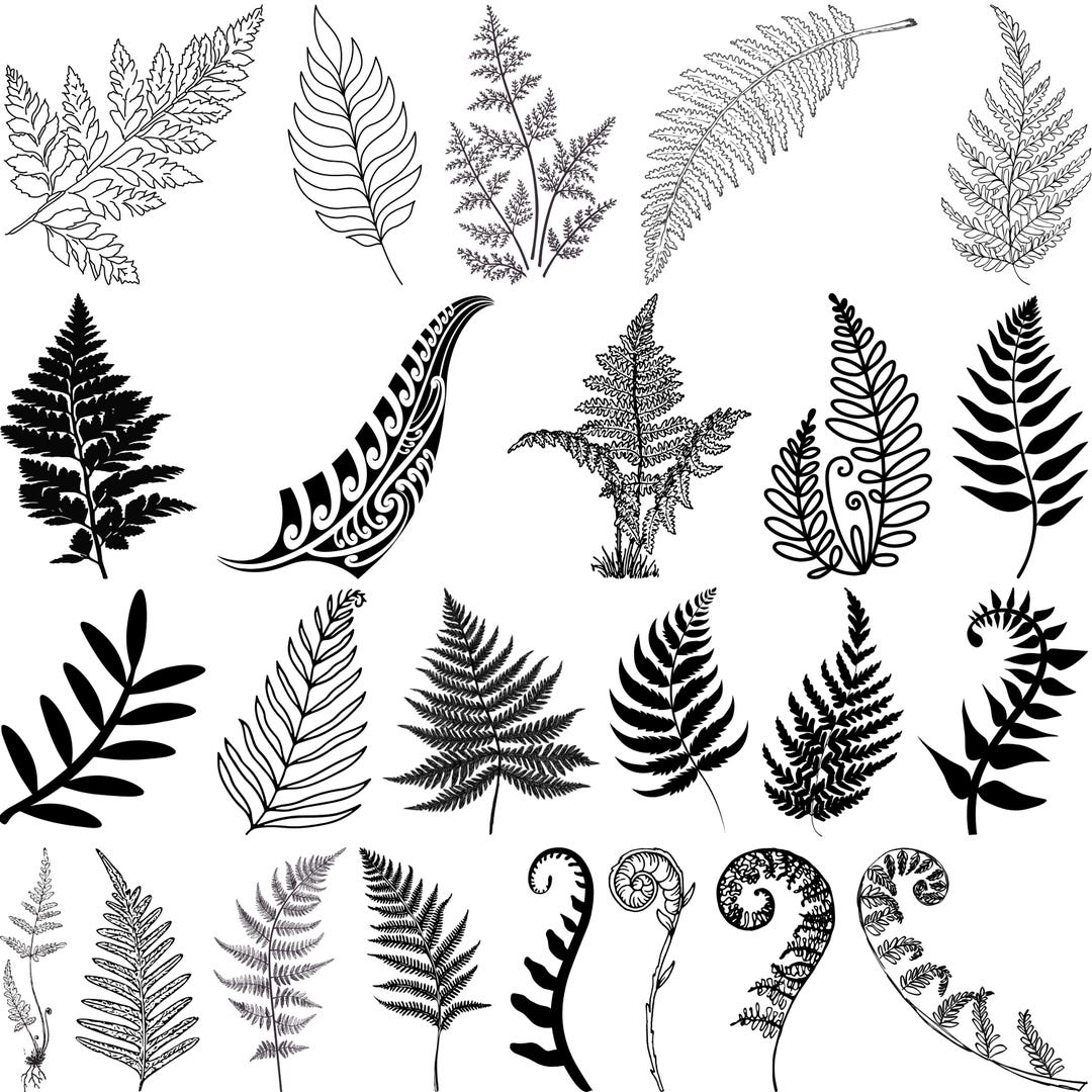 Fern Leaves Svg, Fern Clipart, Boho Svg, Botanical Silhouette, Fern Cut ...