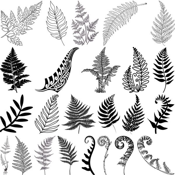 Spiral Fern Art - Etsy