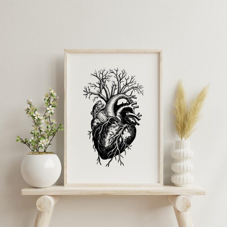 Anatomical Heart Svg Bundle, Nurse Life, Human Heart Svg, Human Heart ...