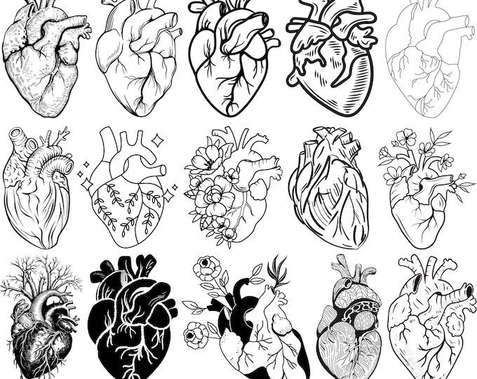 Anatomical Heart Svg Bundle, Human Heart Svg, Heart Svg Bundle ...