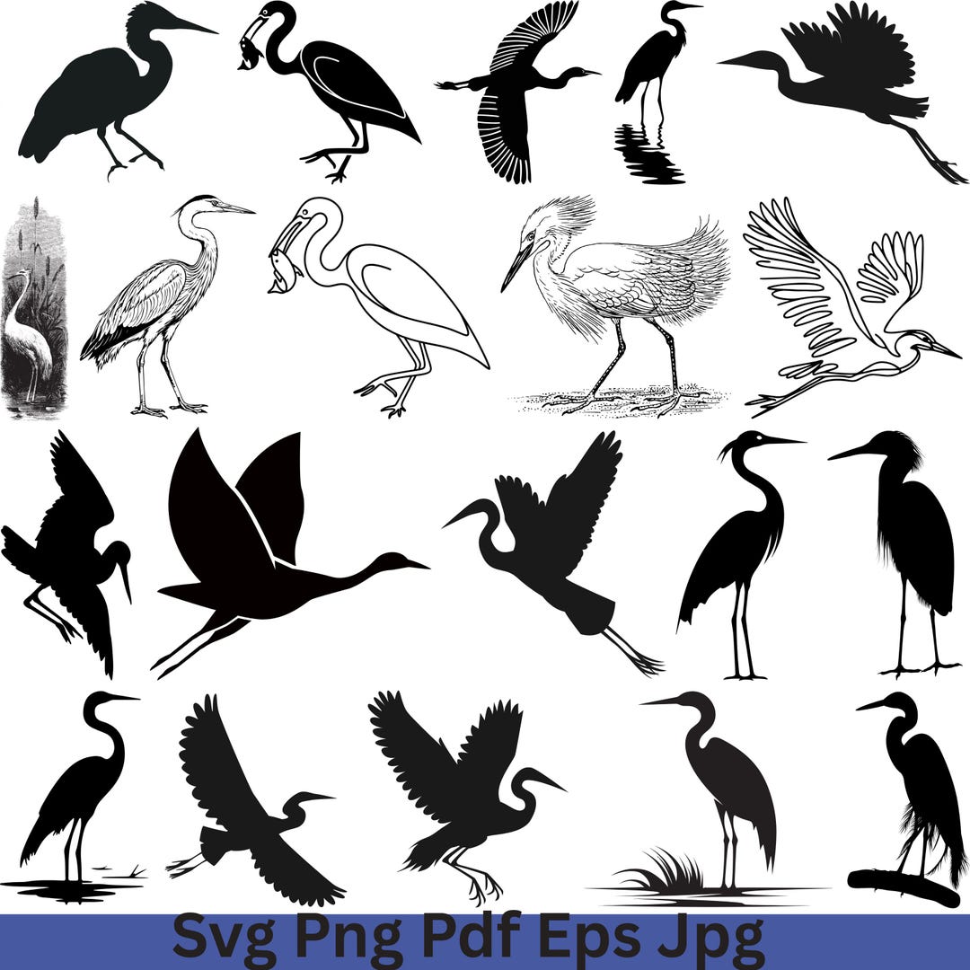 Egret SVG Bundle, Great Egret SVG, Crane Bird Svg, Heron SVG, Bird ...
