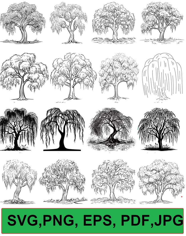 Willow Tree SVG Bundle, Weeping Willow Clipart, Willow Tree PNG, Tree ...