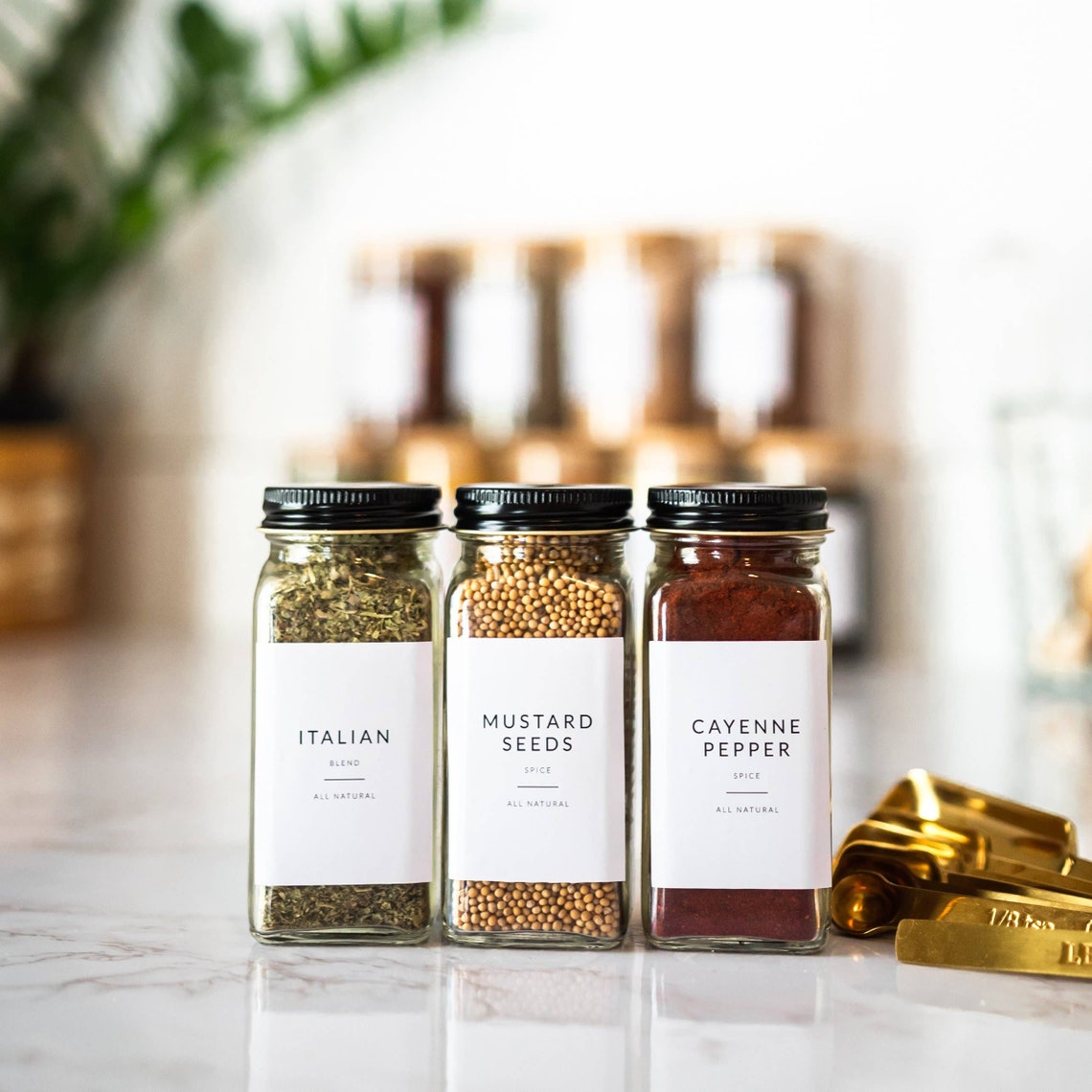 Minimalist and Modern Spice Jar Labels | 162 Labels | Black and White ...