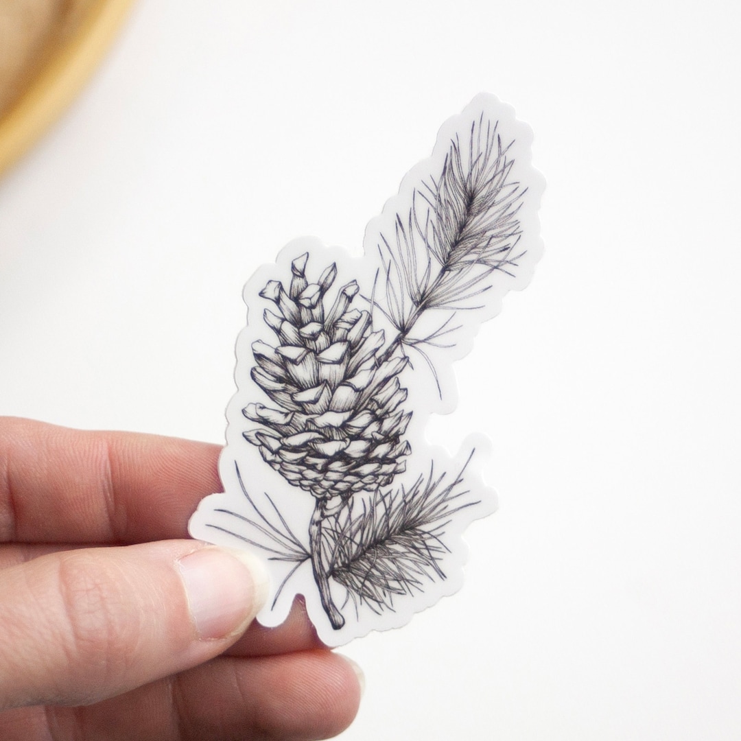 Pinecone Sticker, Vinyl Sticker, Botanical Sticker, Sticker for Laptop ...