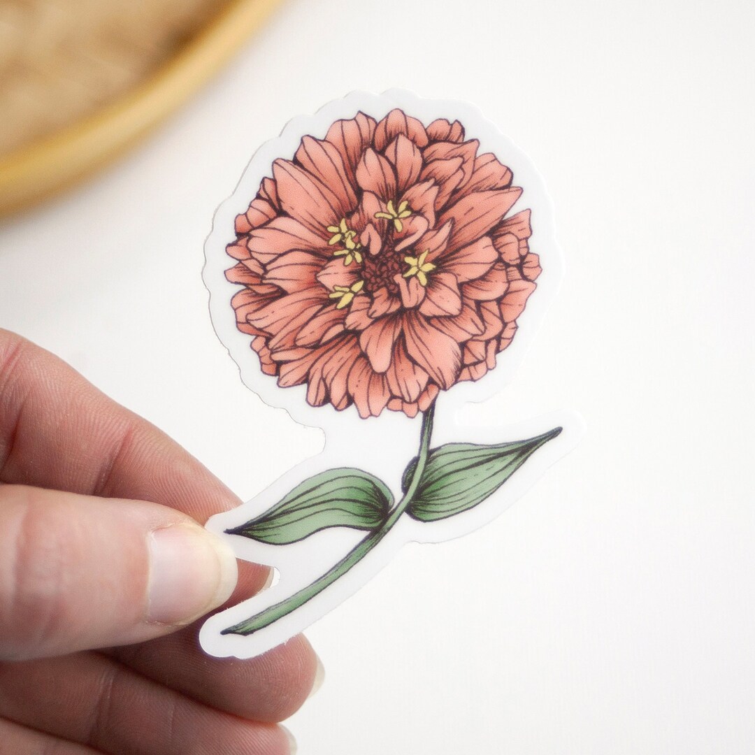 Pink Zinnia Illustration Vinyl Sticker: Waterproof Flower Decal - Etsy