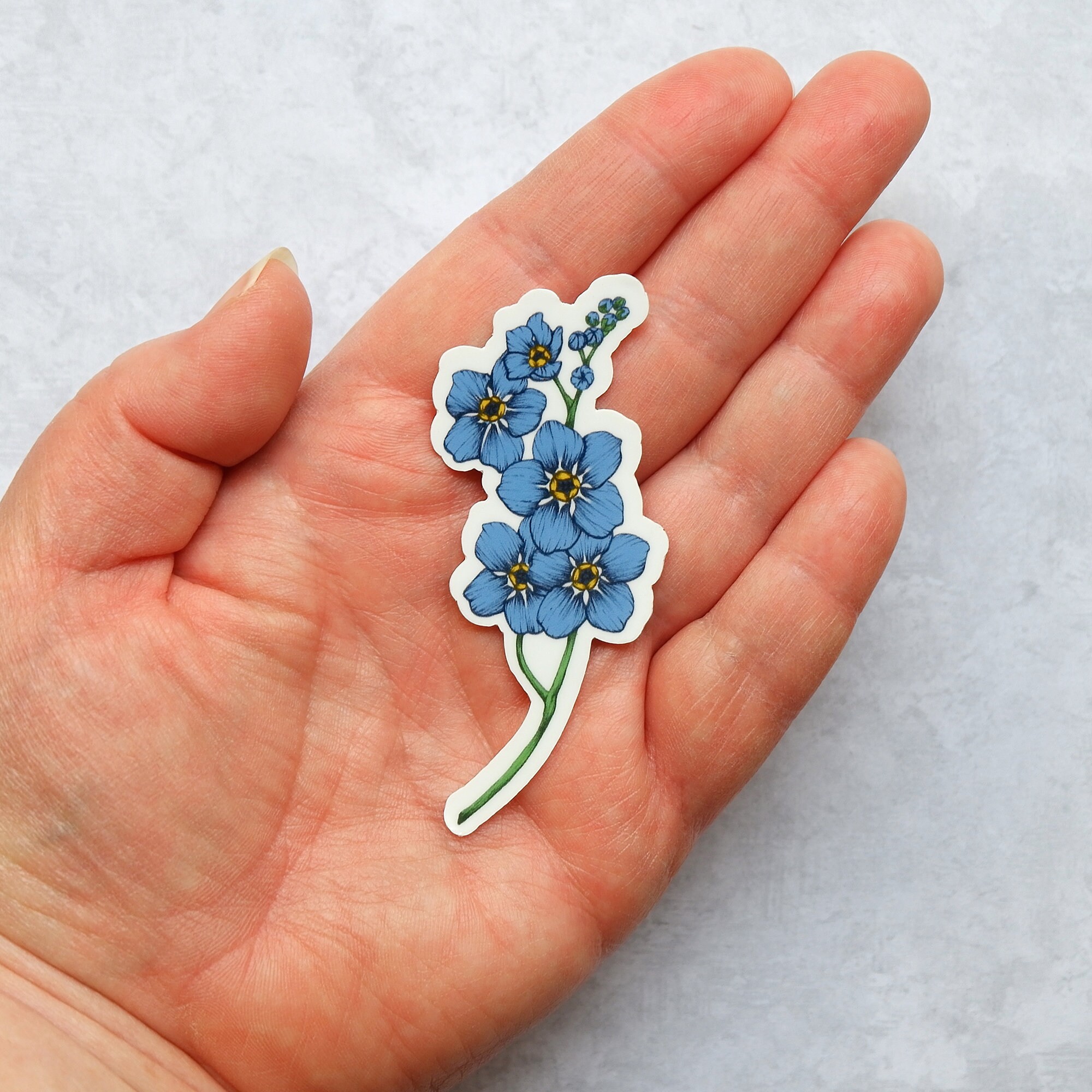 Forget Me Not Sticker Vinyl Sticker Botanical Sticker - Etsy