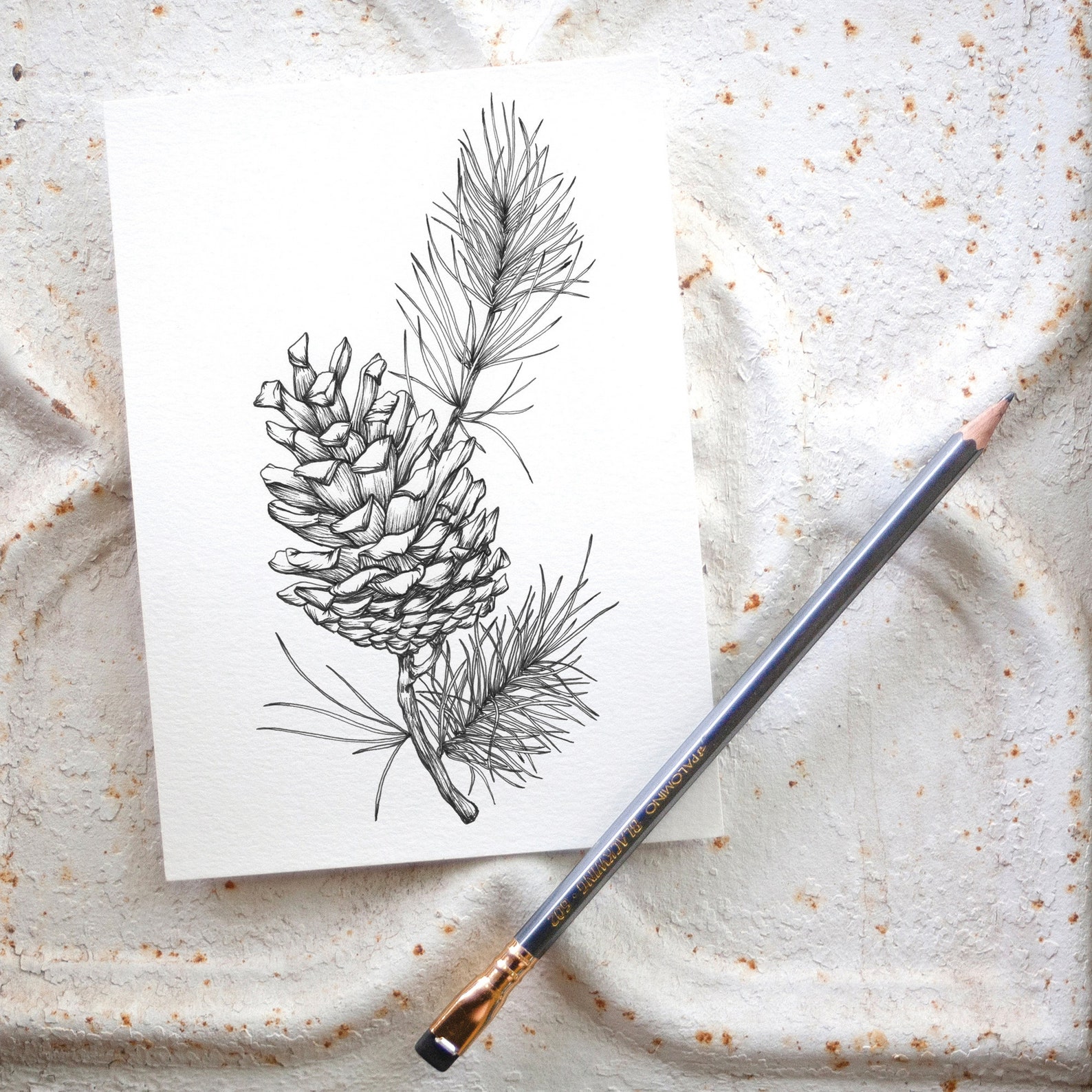 Digital Download, Pinecone Print, Botanical Illustration, Pine ...