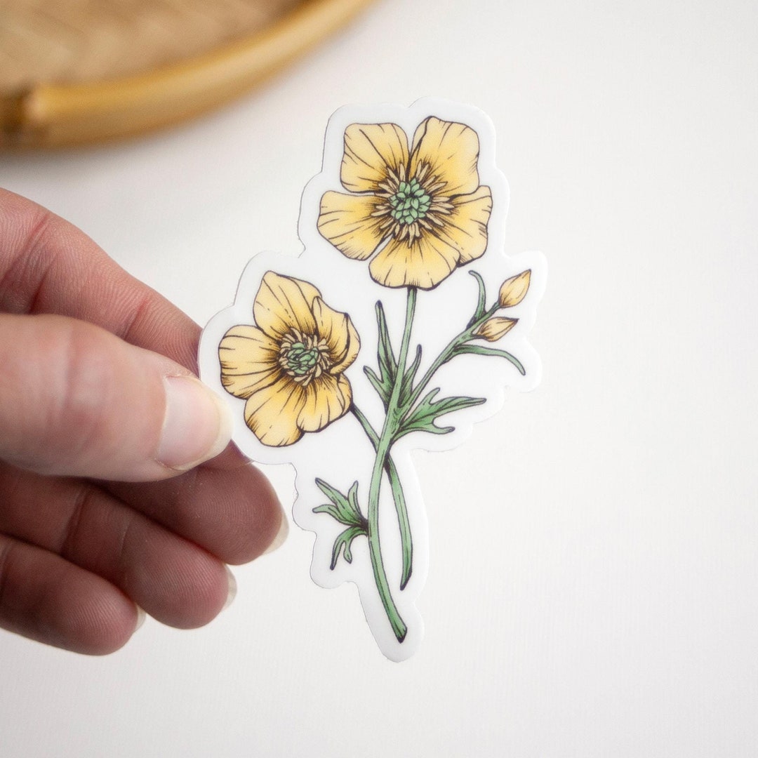 Yellow Buttercup Botanical Vinyl Sticker for Laptop, Pretty Wild Flower ...