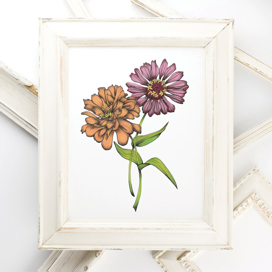 Digital Download, Zinnia Print, Botanical Illustration, Plant Lady ...