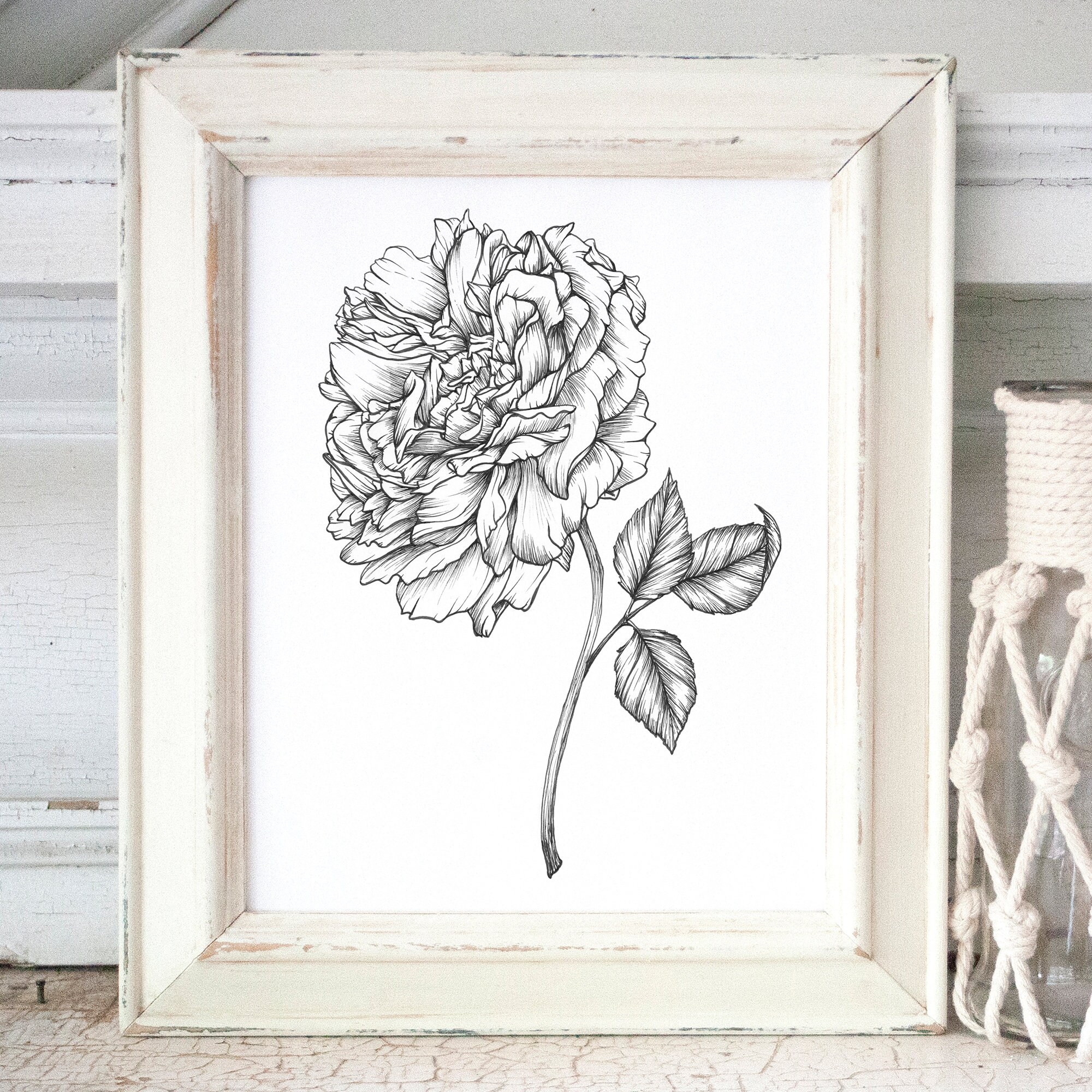 Digital Download English Rose Print Botanical Illustration - Etsy
