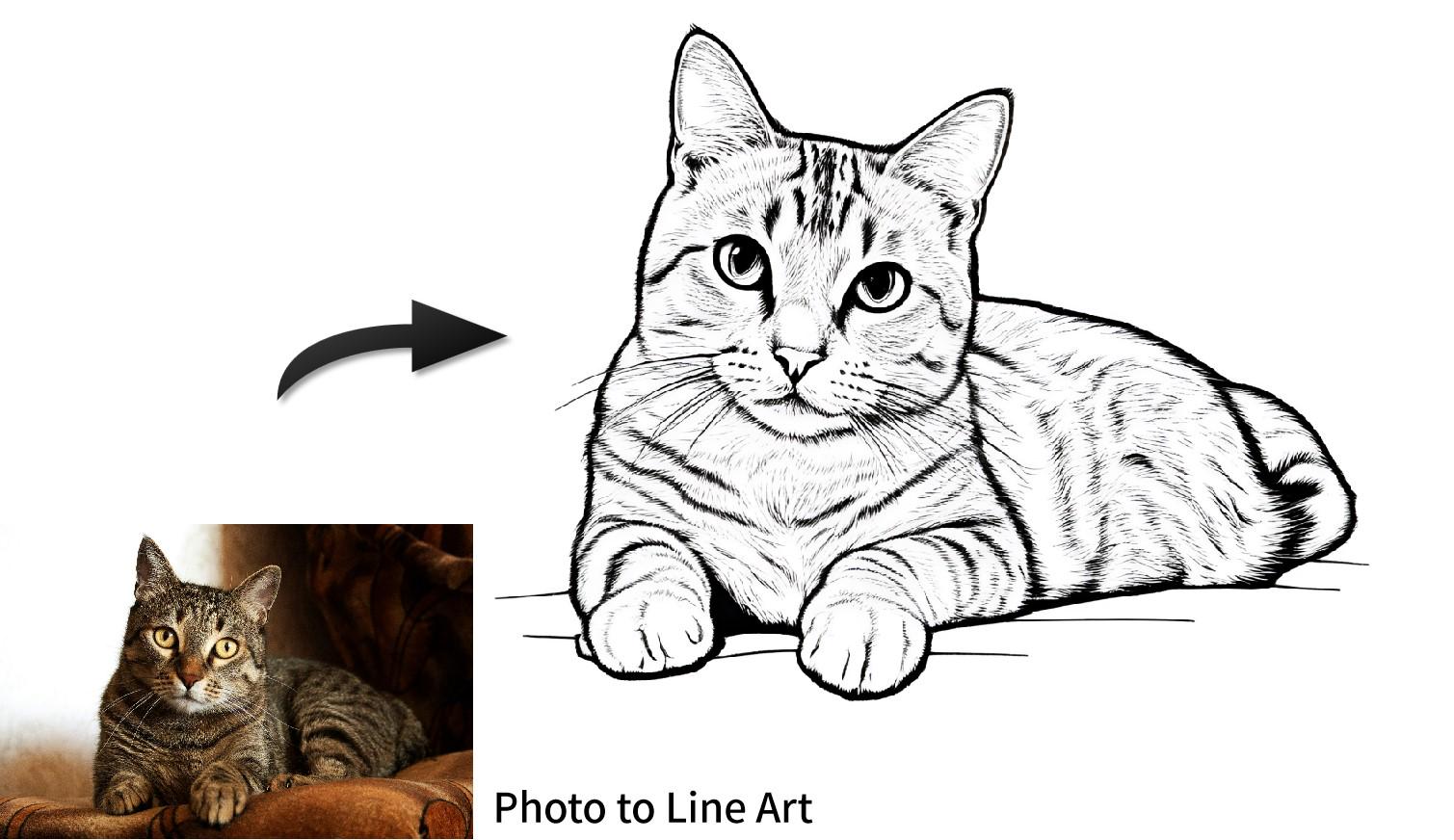 Custom Pet Outline Drawing: Dog & Cat Sketch (digital File) - Etsy