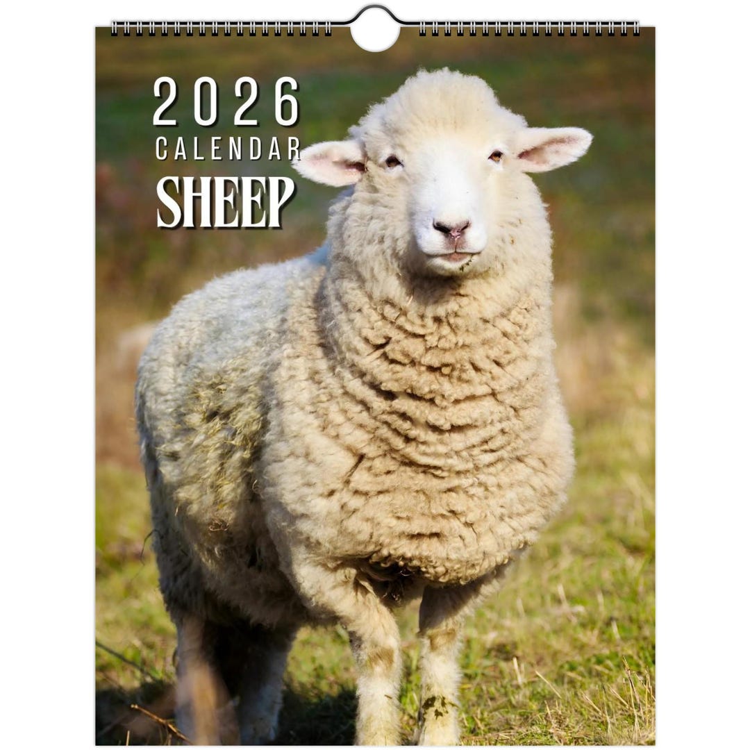 2026 Sheep Wall Calendar: Wildlife Art Print, Animal Theme Decor, Sheep ...