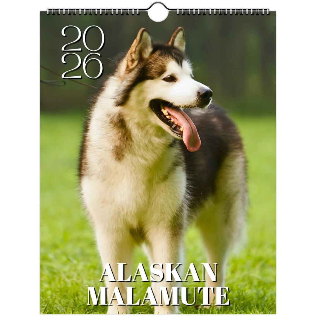 2026 Alaskan Malamute Wall Calendar, Unique Dog Lover Gift, Alaskan ...