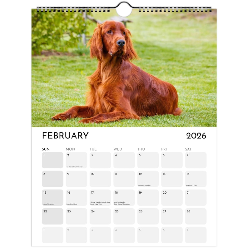 2026 Irish Setter Wall Calendar - Unique Dog Lovers Gift - 12 Months ...