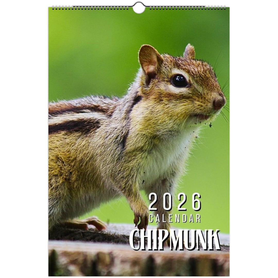 2026 Chipmunk Wall Calendar, Unique Animal Lover Gift, Chipmunk Wall ...