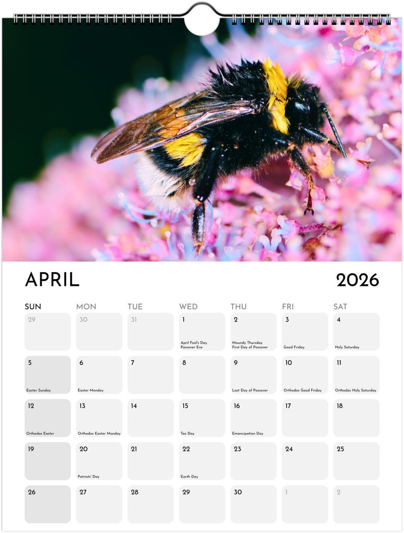 2026 Bee Wall Calendar, Holiday Gift Idea for Bee Lovers, Yearly ...
