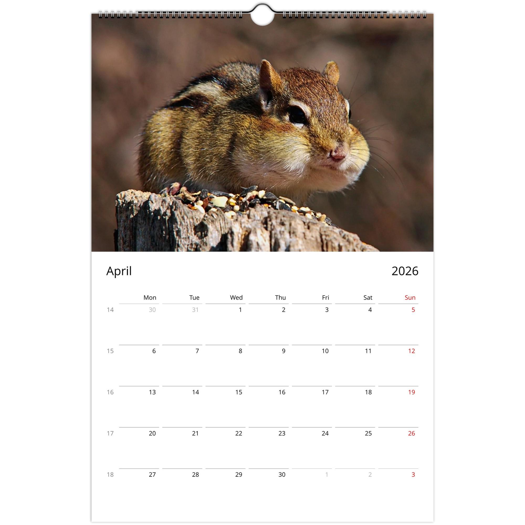 2026 Chipmunk Wall Calendar, Unique Animal Lover Gift, Chipmunk Wall ...
