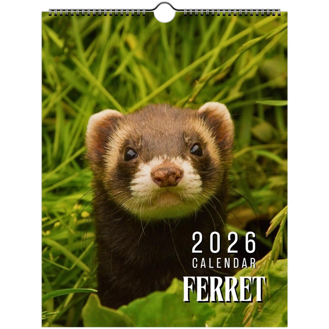 2026 Ferret Wall Calendar, Wildlife Art Print, Ferret Lovers Gift ...