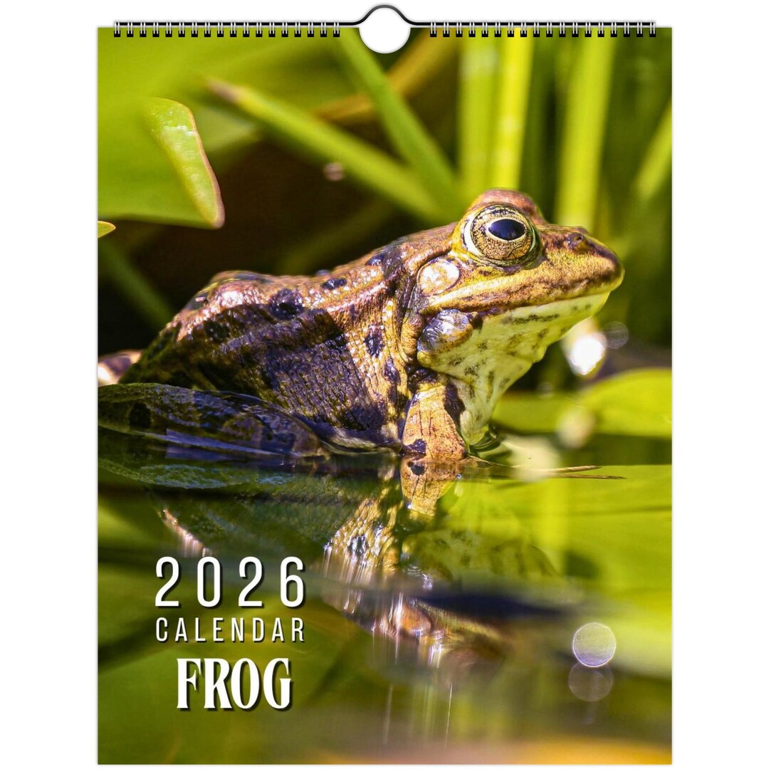 2026 Frog Wall Calendar: Wildlife Art Print, Animal Theme Decor, Frog ...