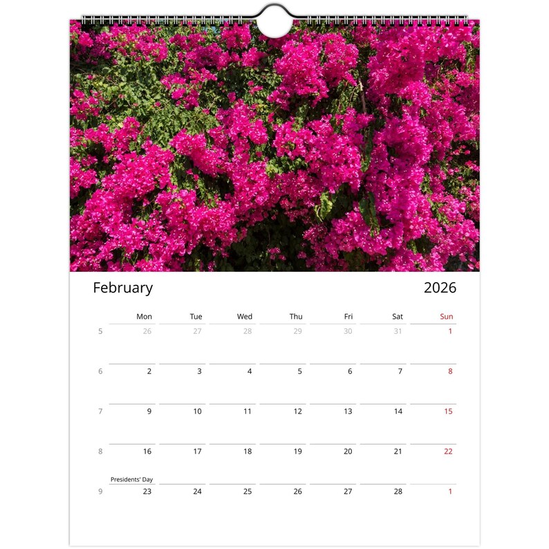 2026 Bougainvillea Wall Calendar: Floral Botanical Art, Nature Lovers ...