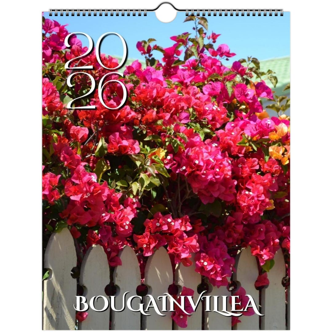 2026 Bougainvillea Wall Calendar: Floral Botanical Art, Nature Lovers ...