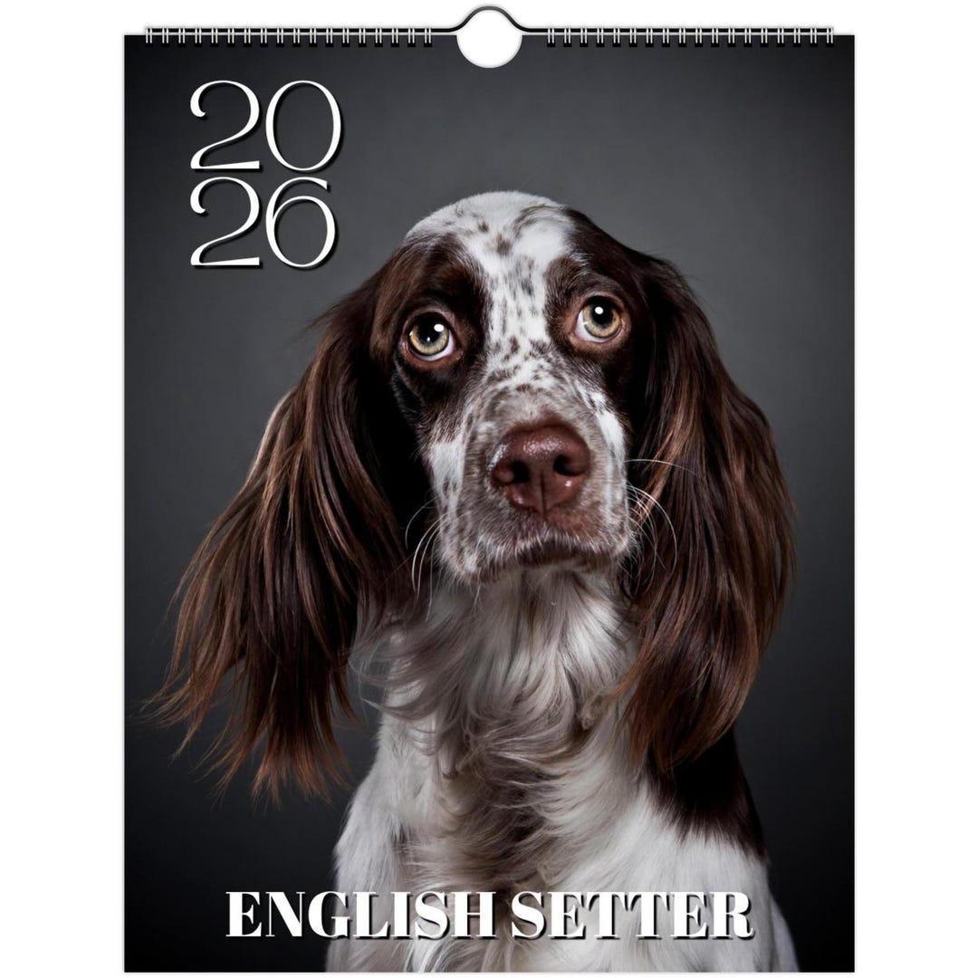 2026 English Setter Wall Calendar: Dog Lovers Gift, 12-month Calendar ...