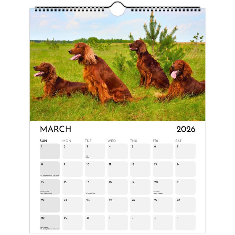 2026 Irish Setter Wall Calendar - Unique Dog Lovers Gift - 12 Months ...