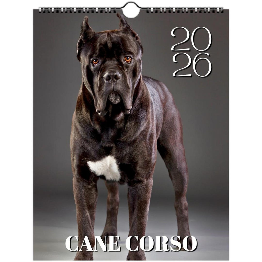2026 Cane Corso Wall Calendar, Cane Corse Lovers Gift, Animal Theme ...