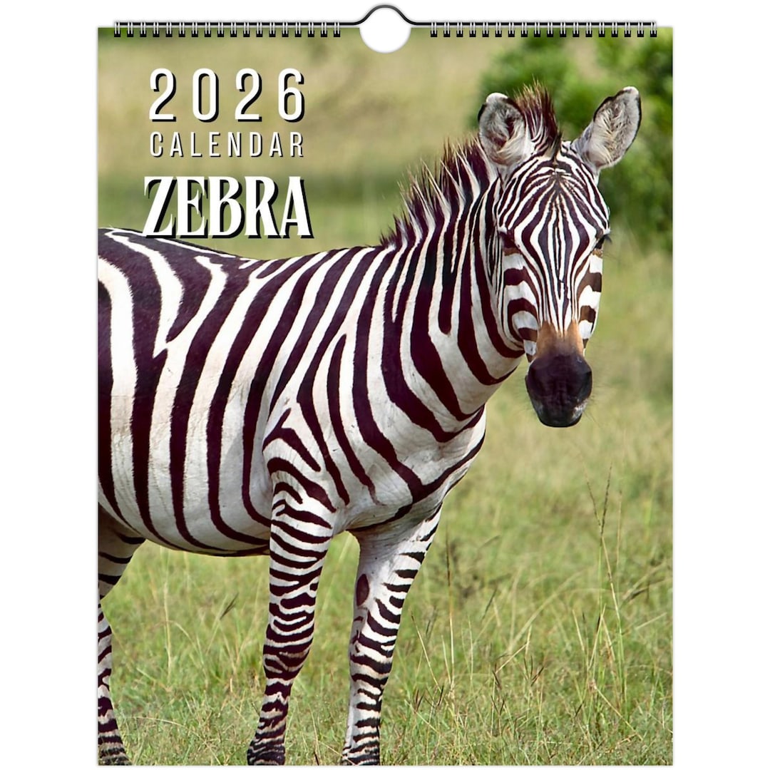 2026 Zebra Wall Calendar, Wildlife Art Print, Unique Animal Lover Gift ...