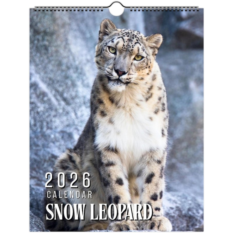 2026 Leopard Planner - Etsy